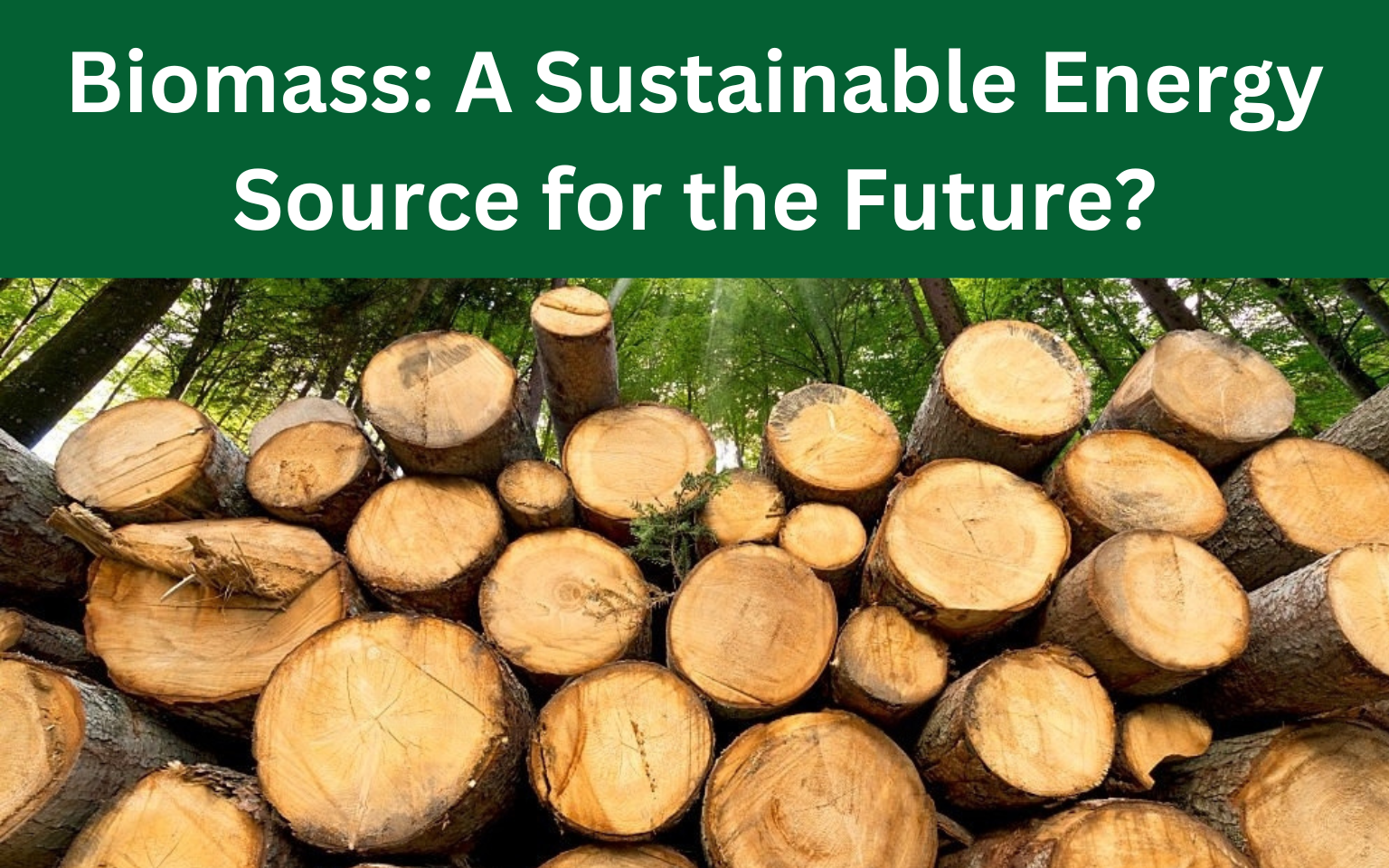 Biomass: A Sustainable Energy Source for the Future? - Royal Bio Energy